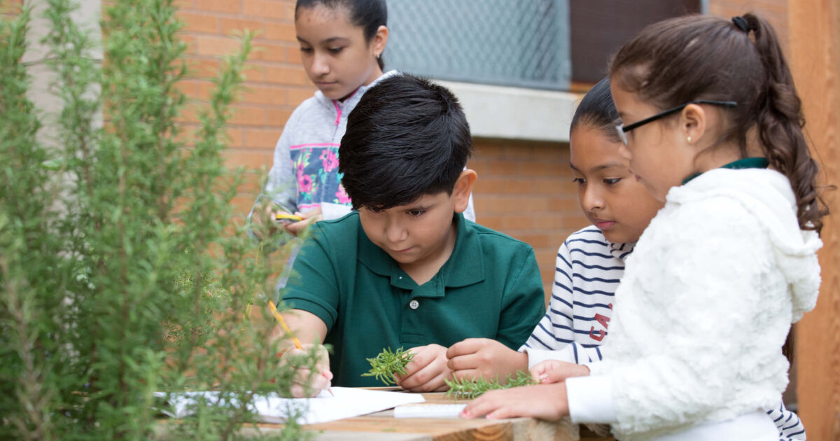 ESSER Funds Support Outdoor Learning | Out Teach